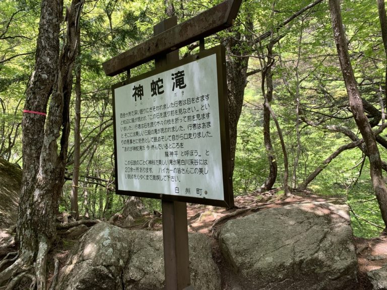 IMG_0993 | OsadaSoft